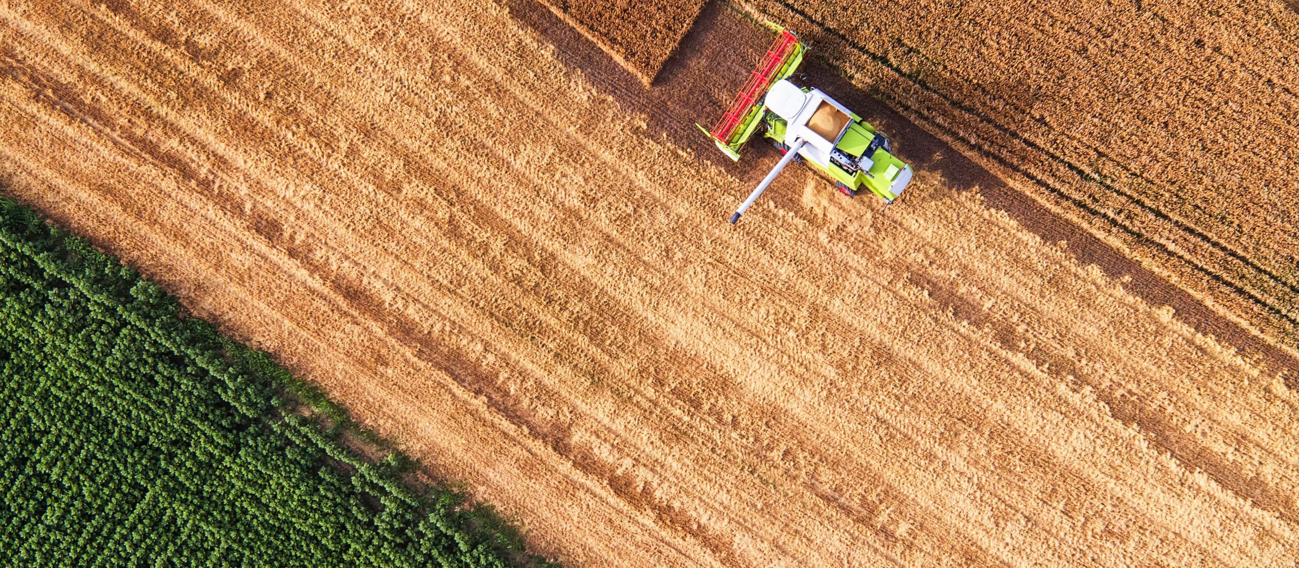 A quick guide to succession planning for your farming estate - Gepp ...